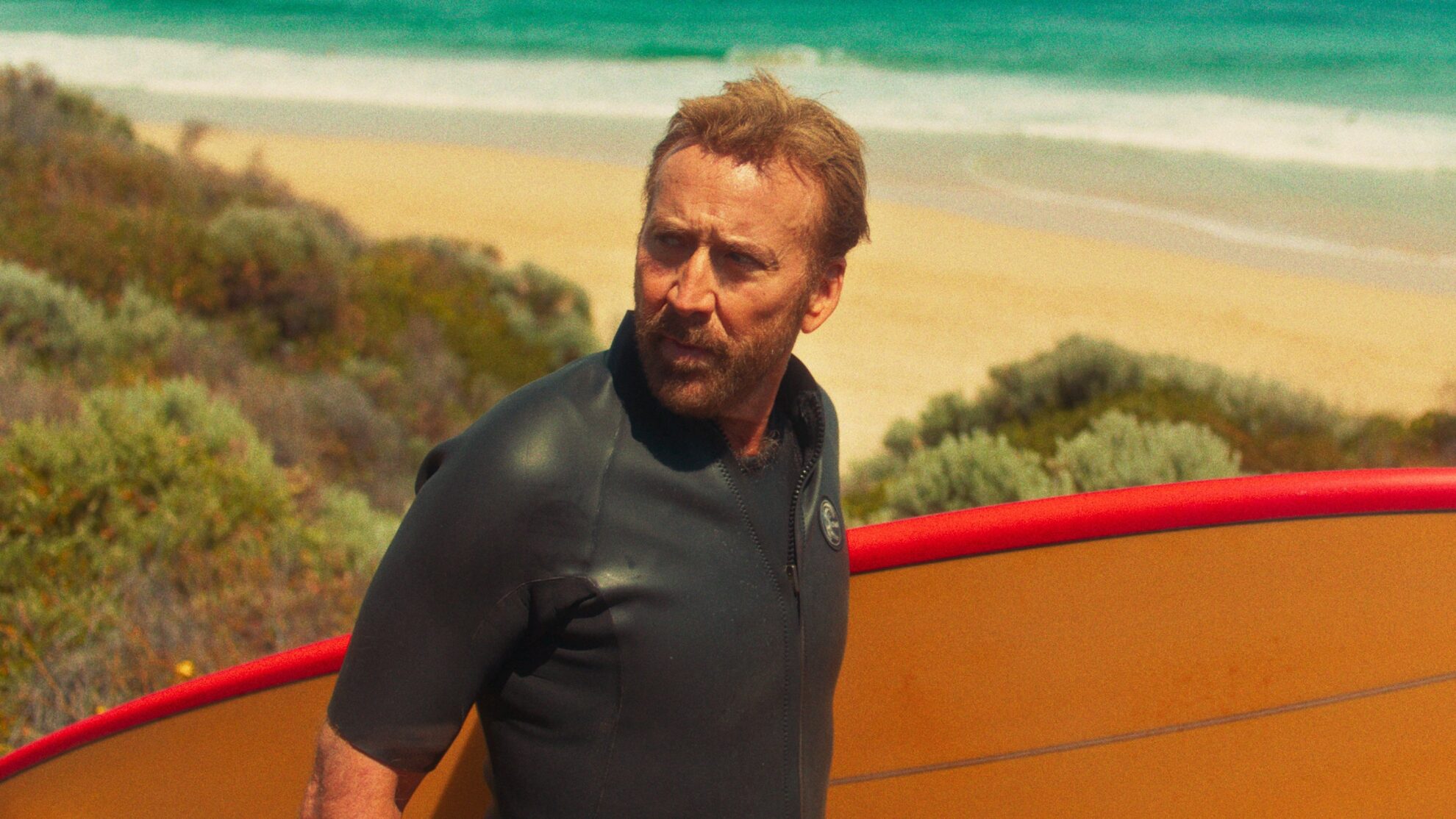 The Surfer (2024) – The Goods: Film Reviews